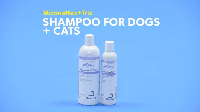 The Benefits and Uses of MiconaHex+Triz Shampoo for Pets - Her Beauty Plug